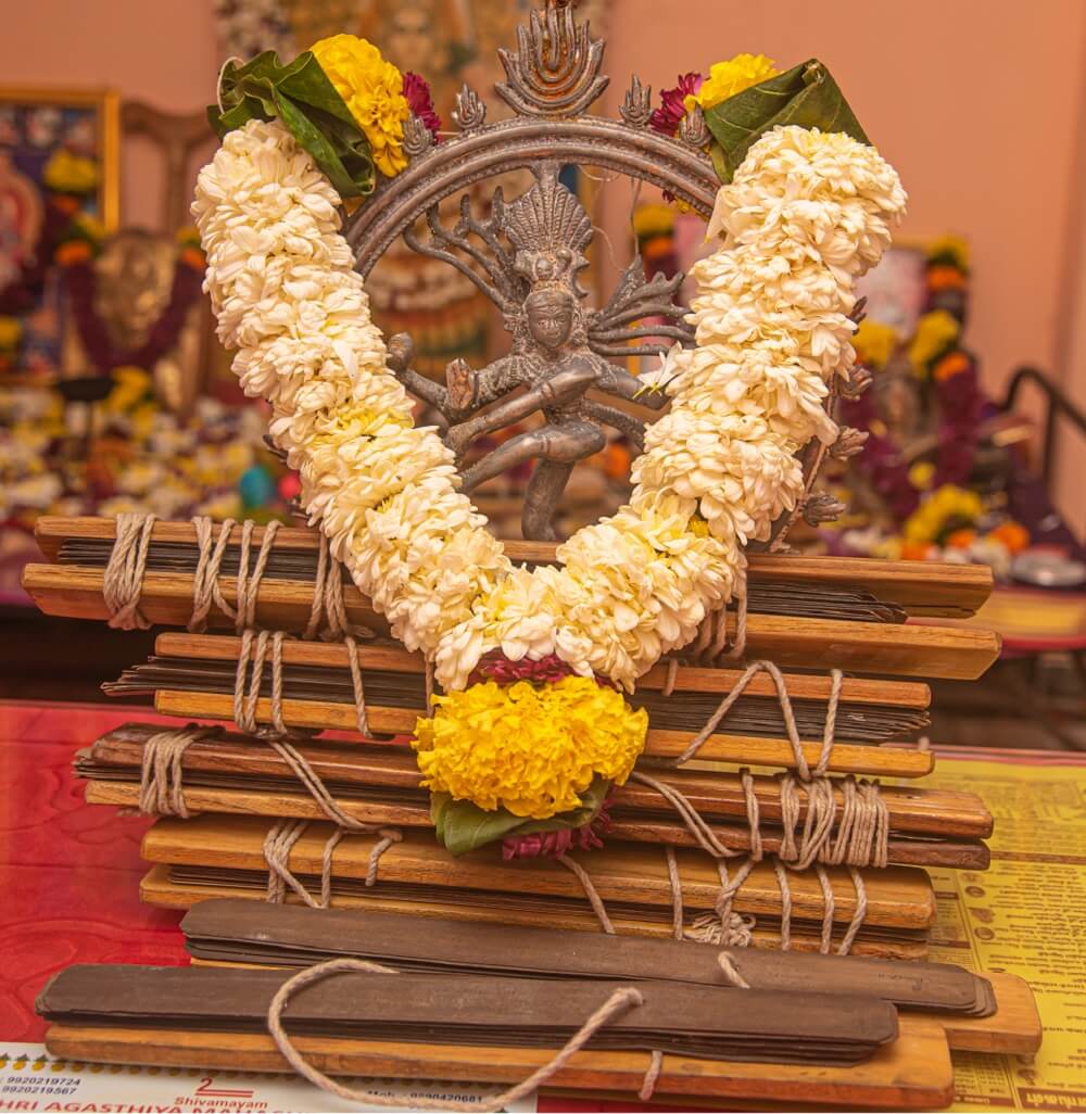 Nadi History - Nadi Astrology Online